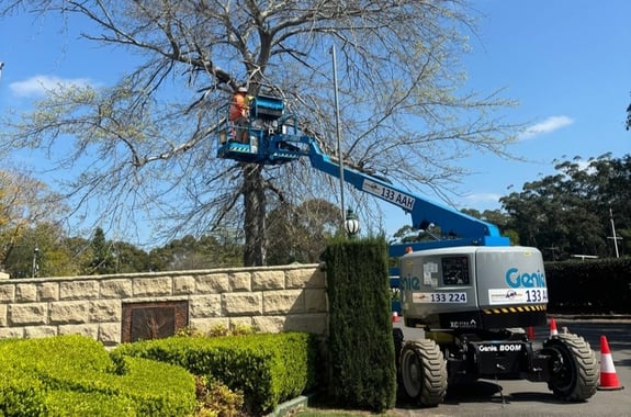 Dural Club - Electrical Renovations & Tree Lighting | Platinum